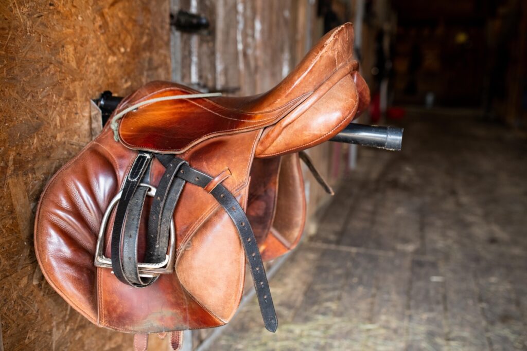 Parts of the English and Western Horse Saddle (Explained) – The Helpful Vet