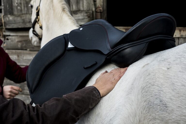 Parts of the English and Western Horse Saddle (Explained) – The Helpful Vet
