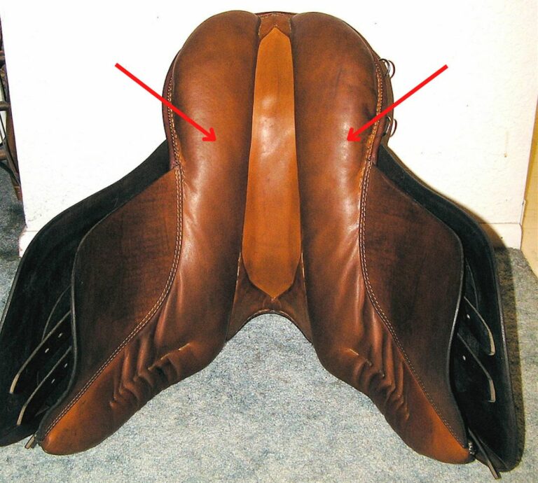 Parts of the English and Western Horse Saddle (Explained) – The Helpful Vet