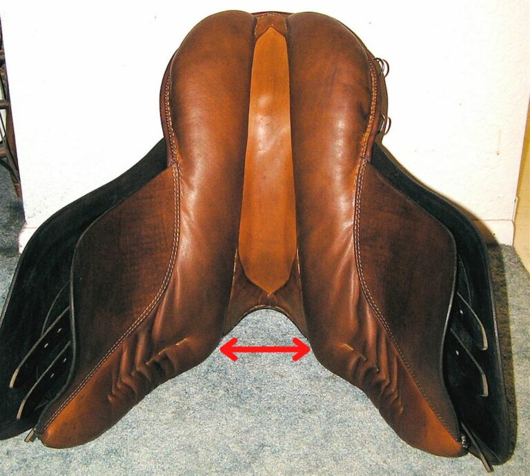 Parts of the English and Western Horse Saddle (Explained) – The Helpful Vet