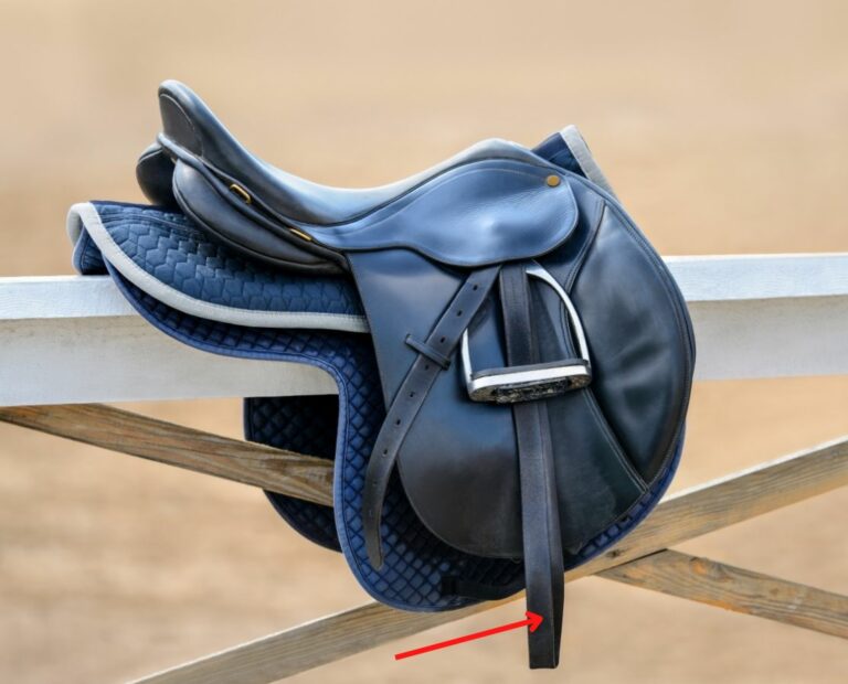 Parts of the English and Western Horse Saddle (Explained) – The Helpful Vet