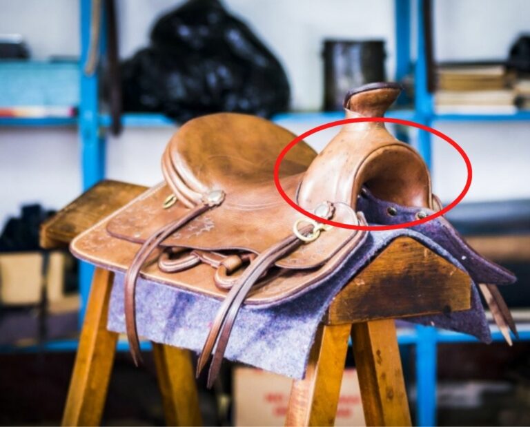 Parts of the English and Western Horse Saddle (Explained) – The Helpful Vet